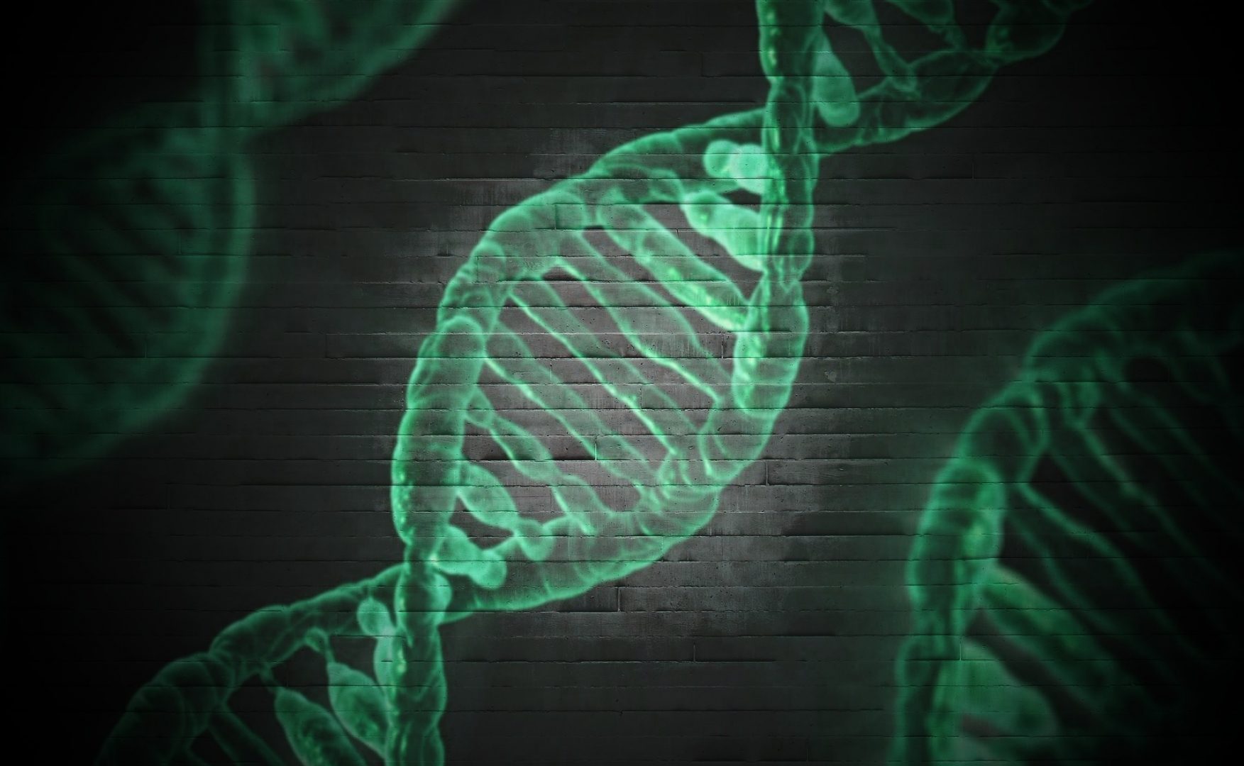 dna-free stock photo - Genome BC