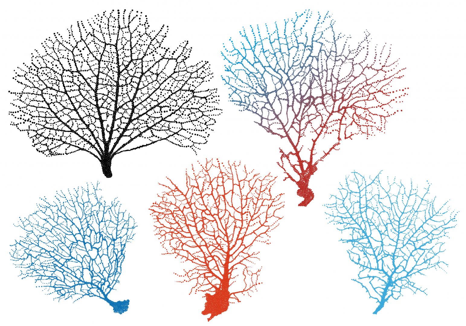 Scientists are developing “evolution assisted” coral that can survive ...