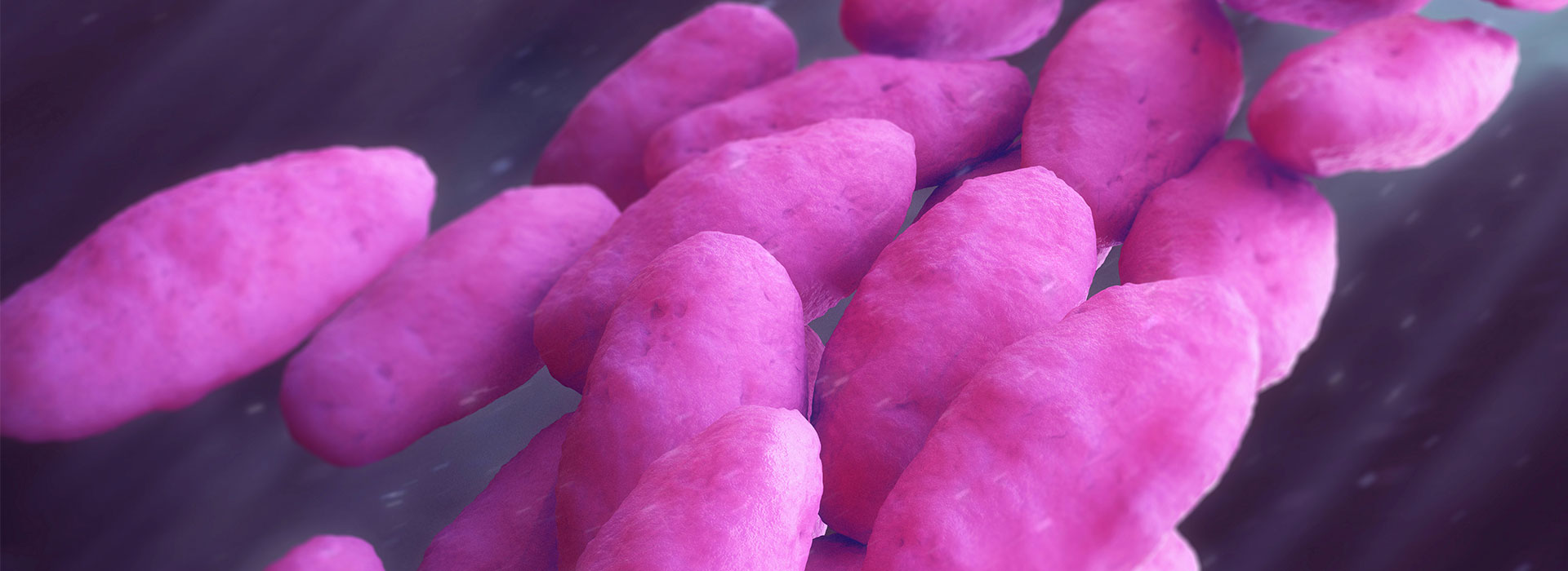 When antibiotics fail - Genome BC