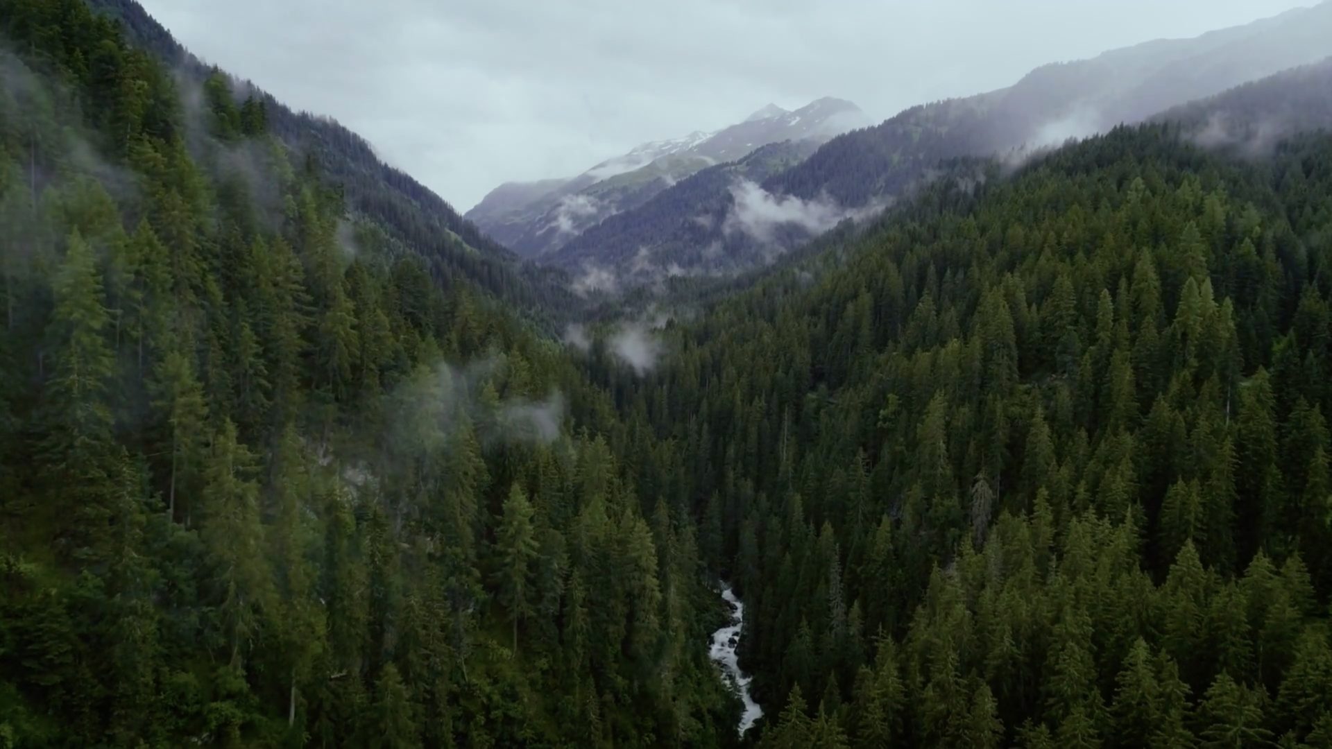 New Genome BC Project Uses Remote Sensing Technologies to Identify ...