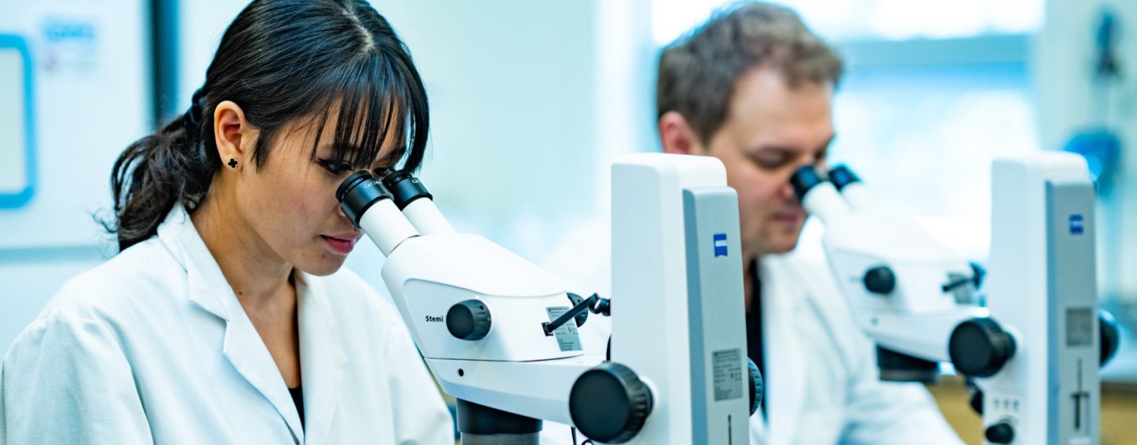 Eight new projects empower BC researchers to solve climate change ...