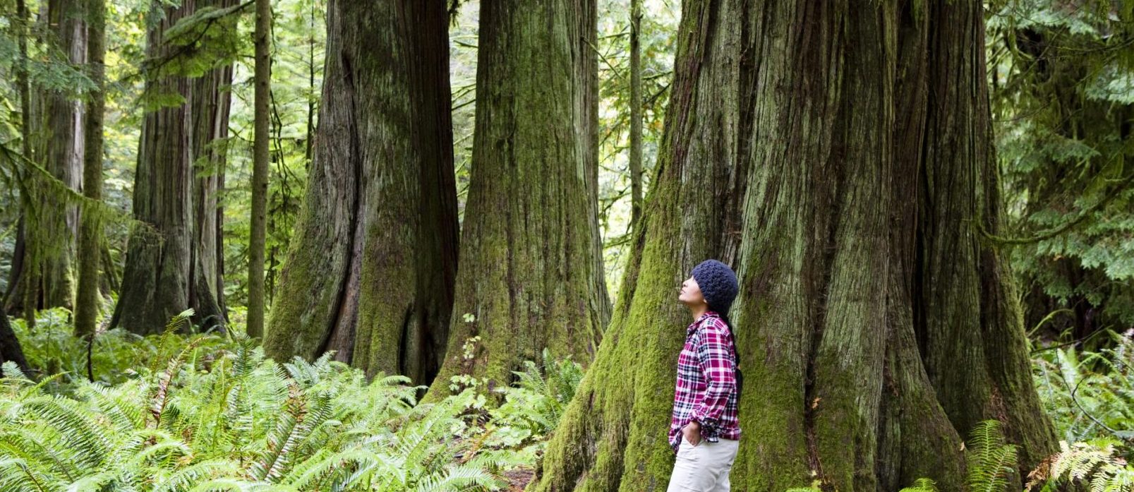 From Research to Results: 25 Years of Genomics in BC - Genome BC